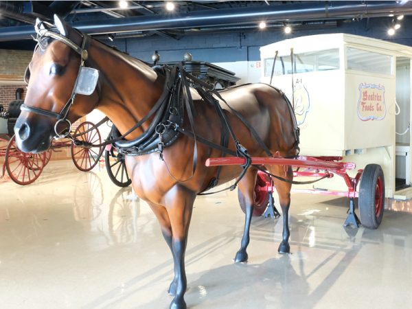 Collection Highlights - Allen County Museum