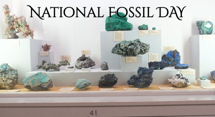 National Fossil Day - Allen County Museum